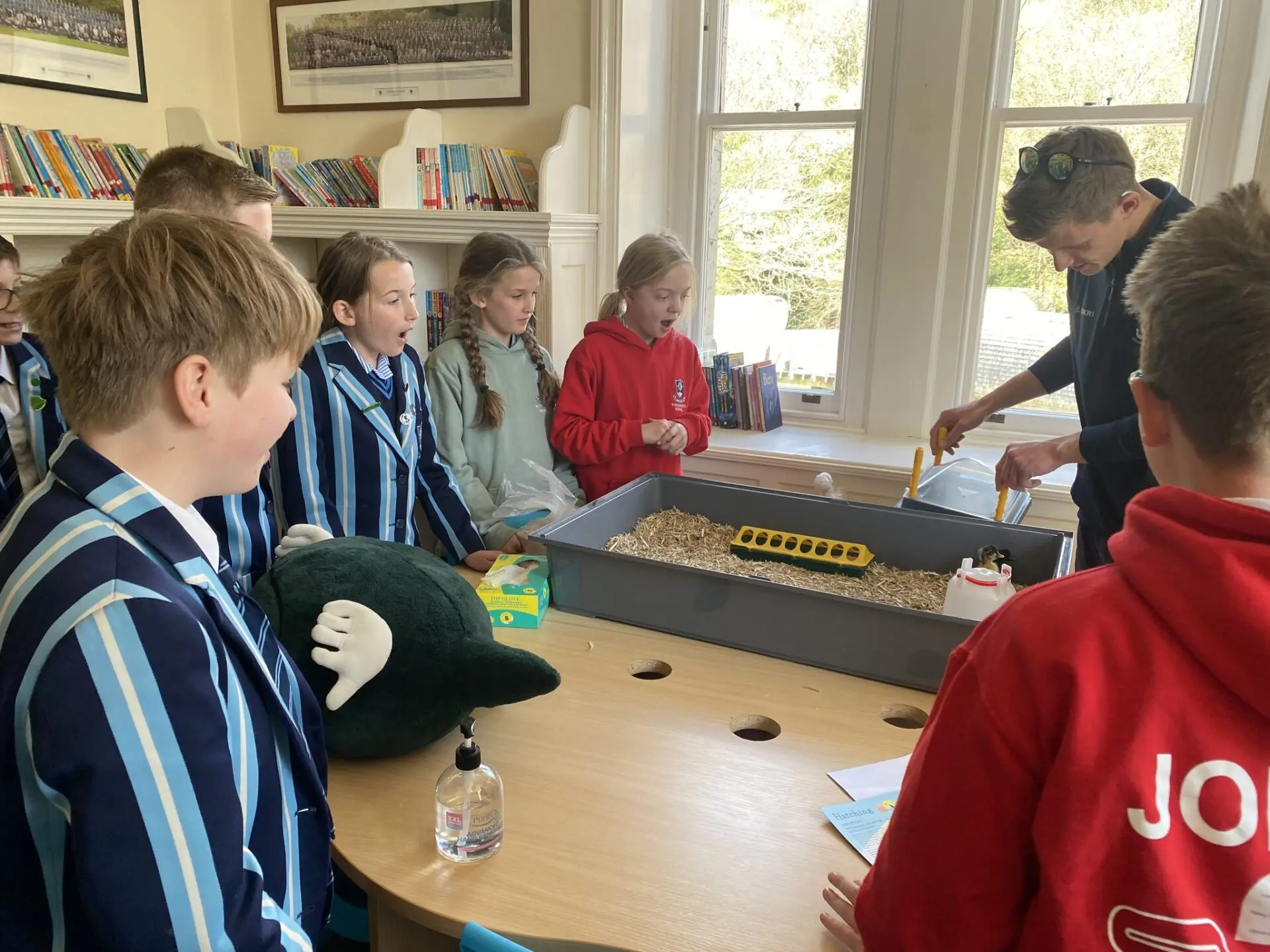 Our Newest Arrivals... | Windermere School